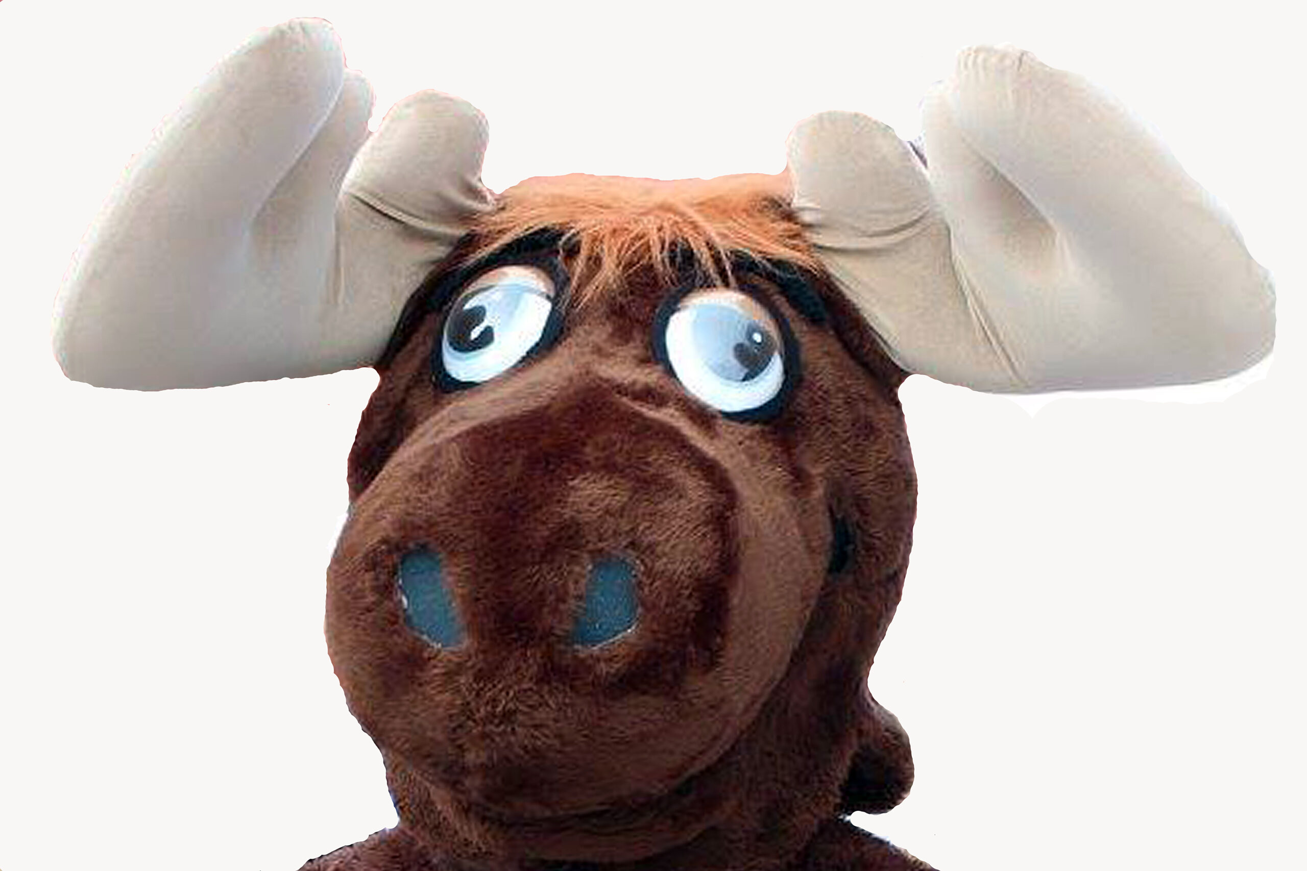 Moosestompers celebrates 20th anniversary - The County