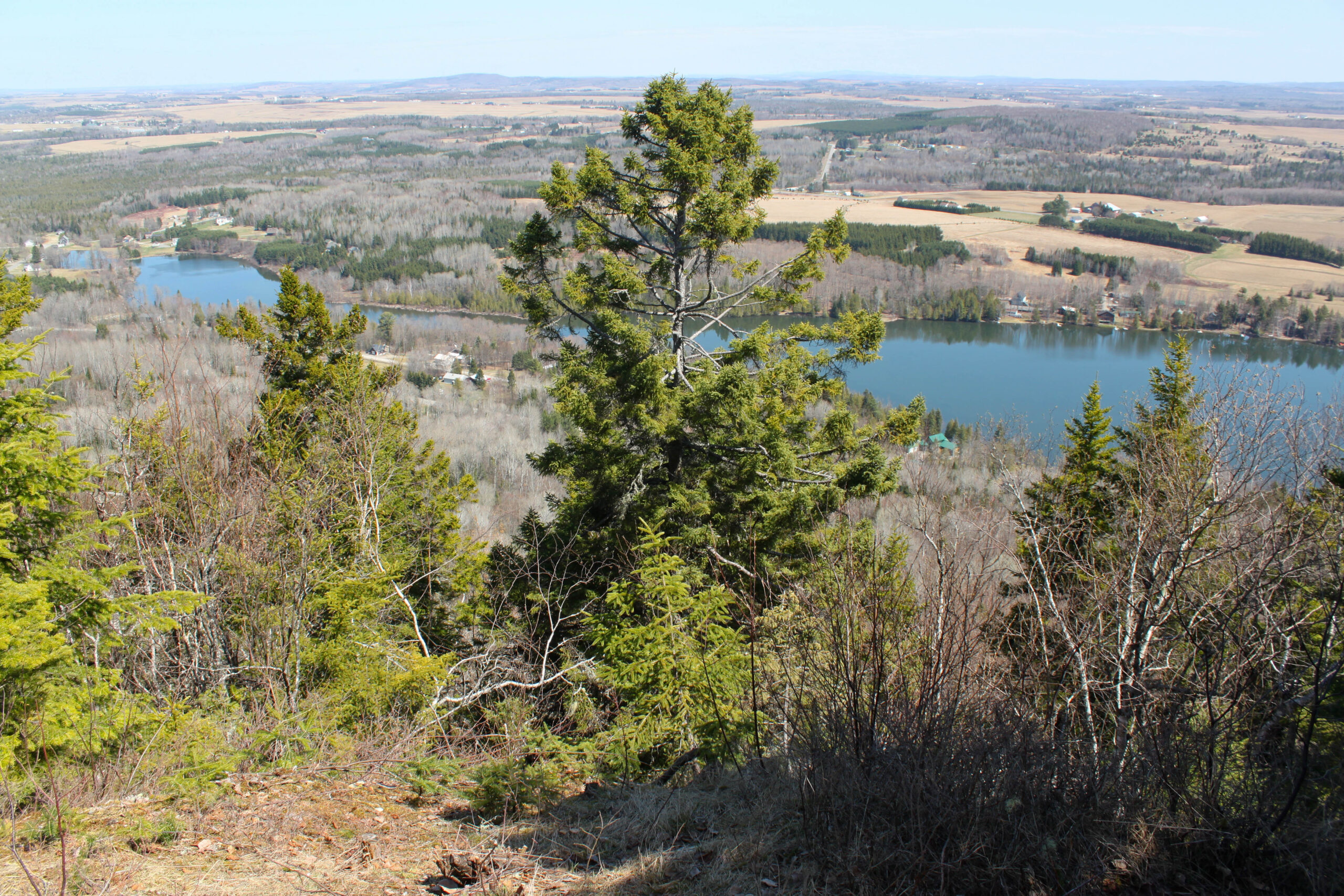 State parks offer free admission Father’s Day - The County