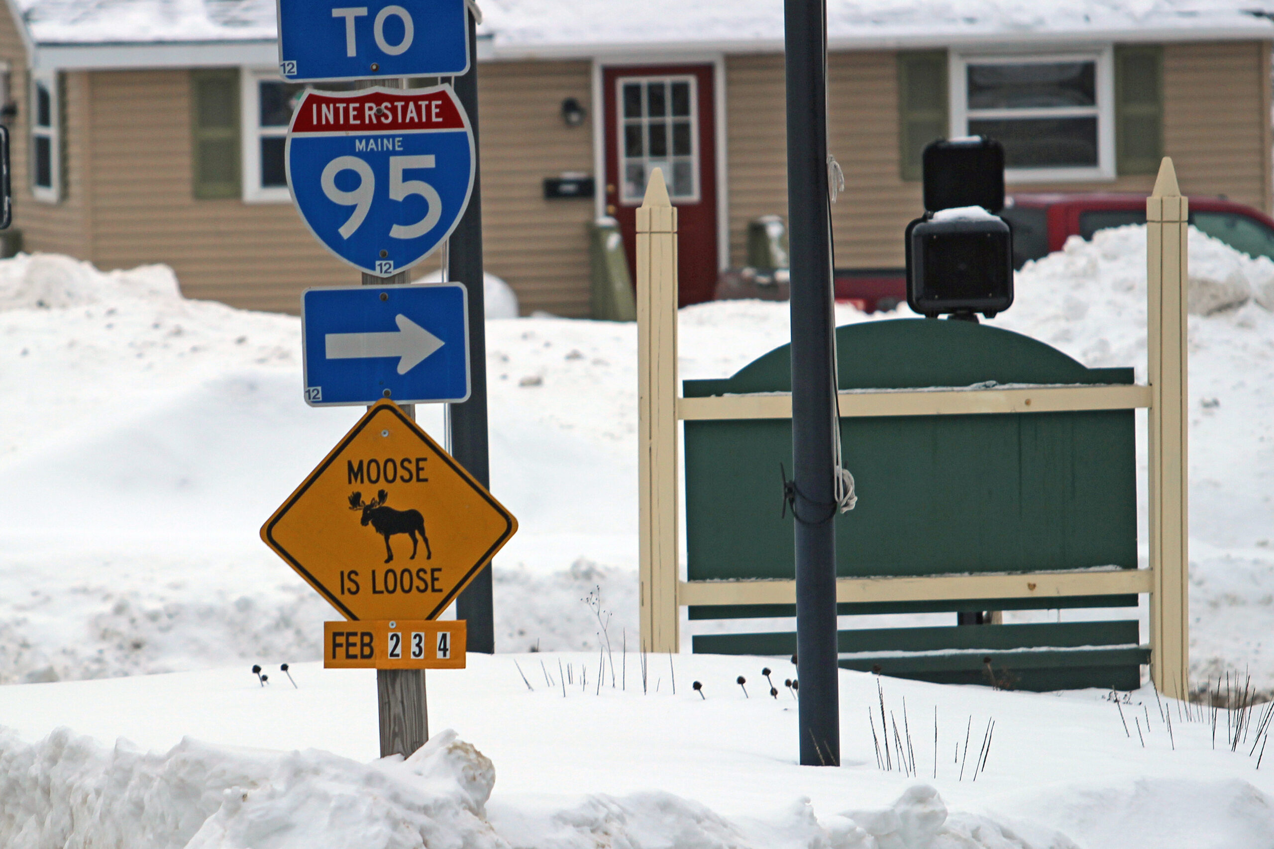 Moosestompers: a winter carnival with style - The County