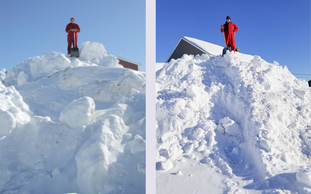 How High Can It Go? - The County