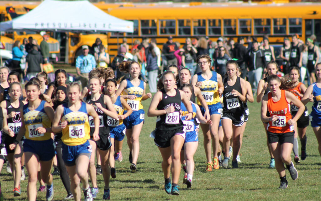 Local runners excel at regional Class C cross country championships ...