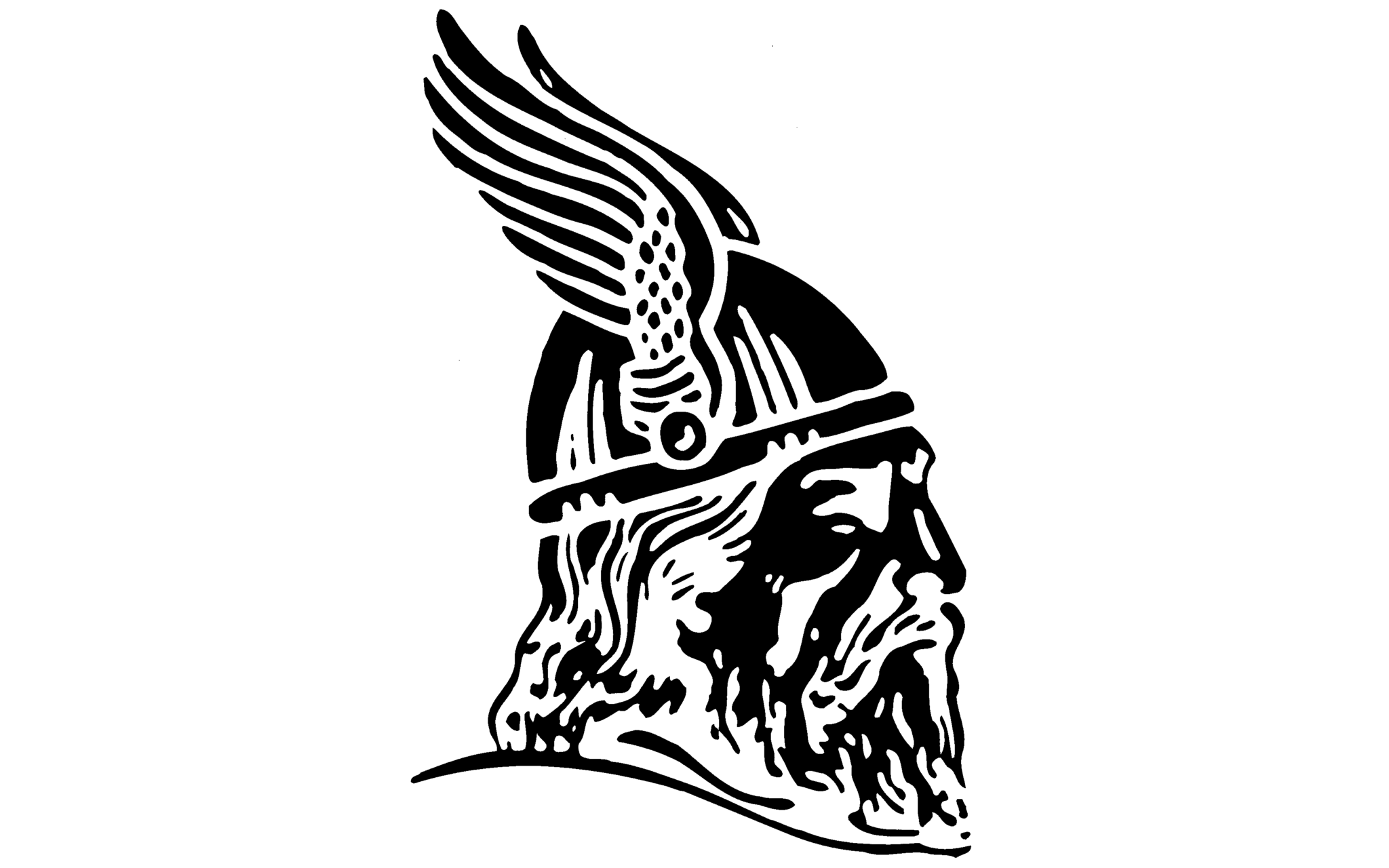 Viking golfers have perfect start to season - The County