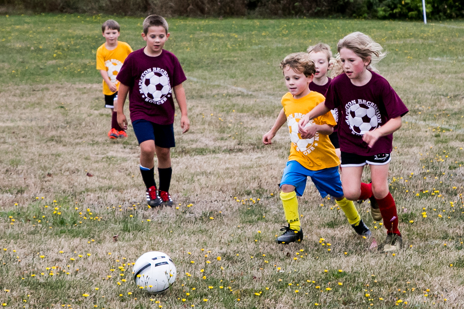 Mapleton couple celebrates 50 years - The County