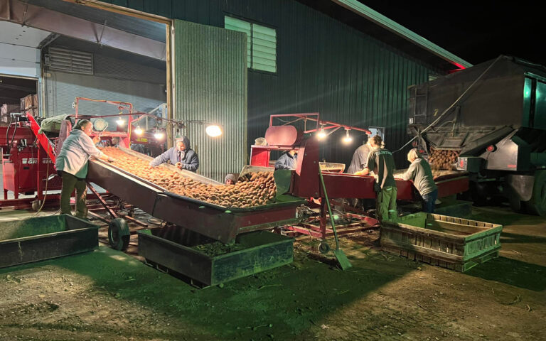 The County | We are The County