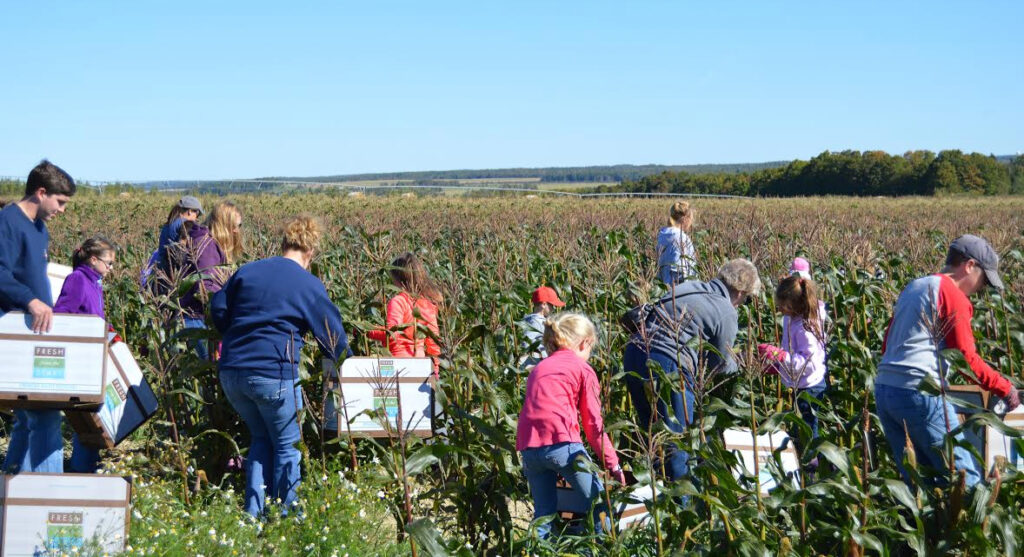Aroostook is Maine's biggest creator of farm food waste, study finds ...