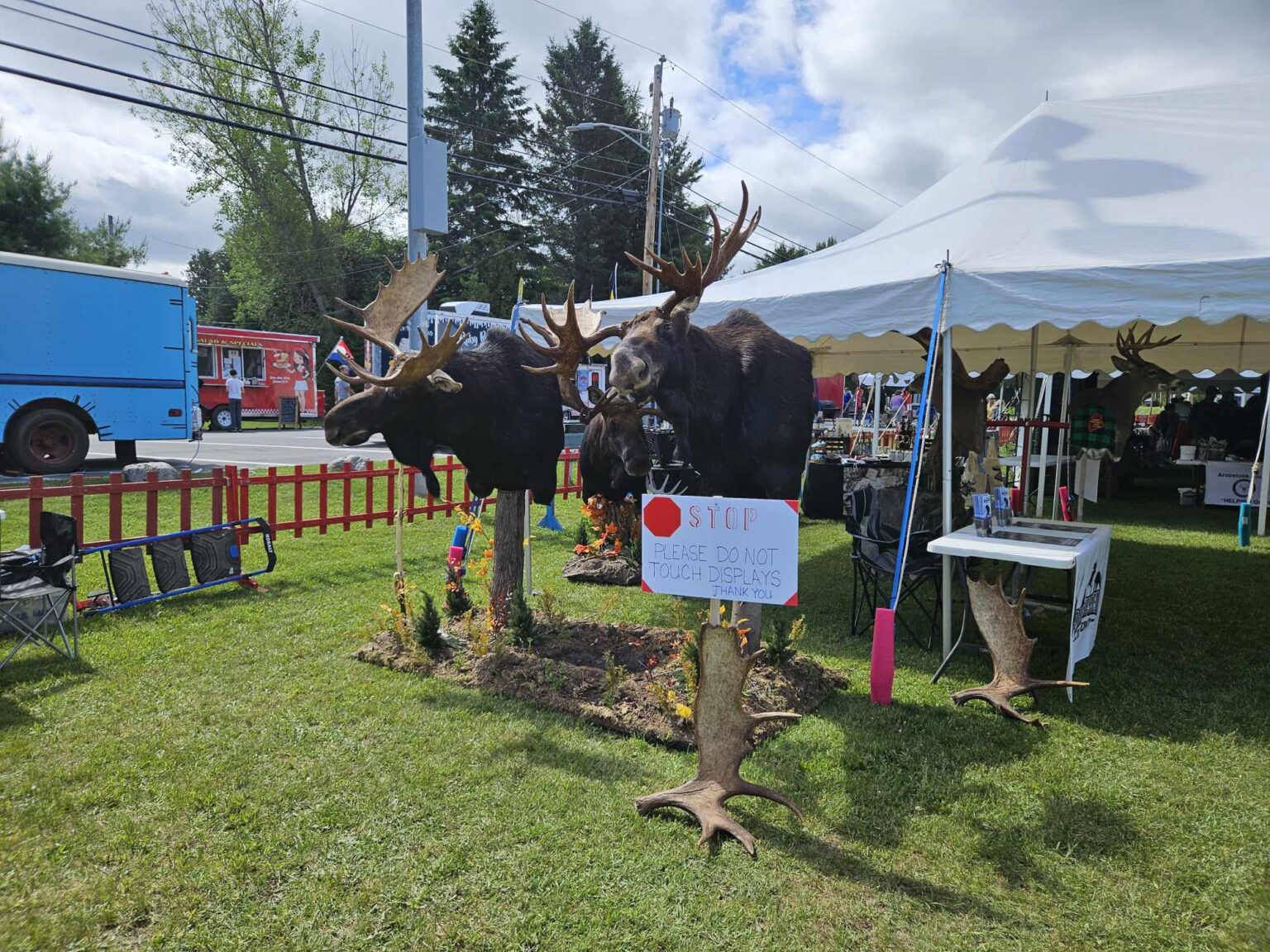 Ploye Festival and the Maine moose lottery drawing happening in Fort ...