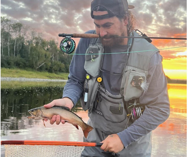 Dry flies: Here are the dependable dozen - The County