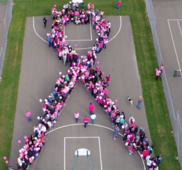 Bridge to Hope Walk this Saturday in Houlton’s Riverfront Park - The County